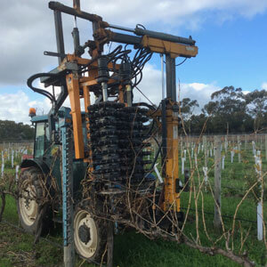 Pruning mechanical or by hand - Pridham Viticulture